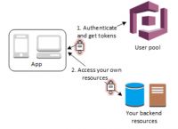 Amazon Cognito - Tutorials Dojo