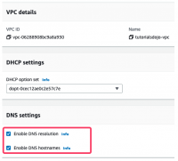 Split-view DNS using Amazon Route 53